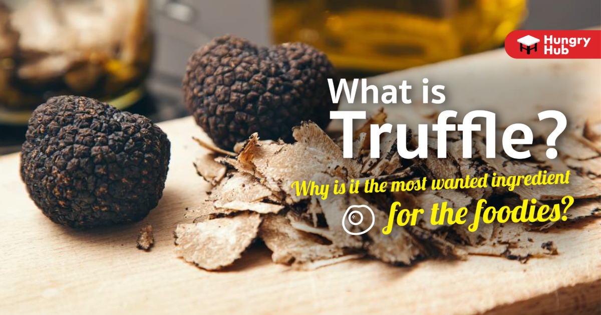 What is Truffle? Why is it the most wanted ingredients for the foodies?