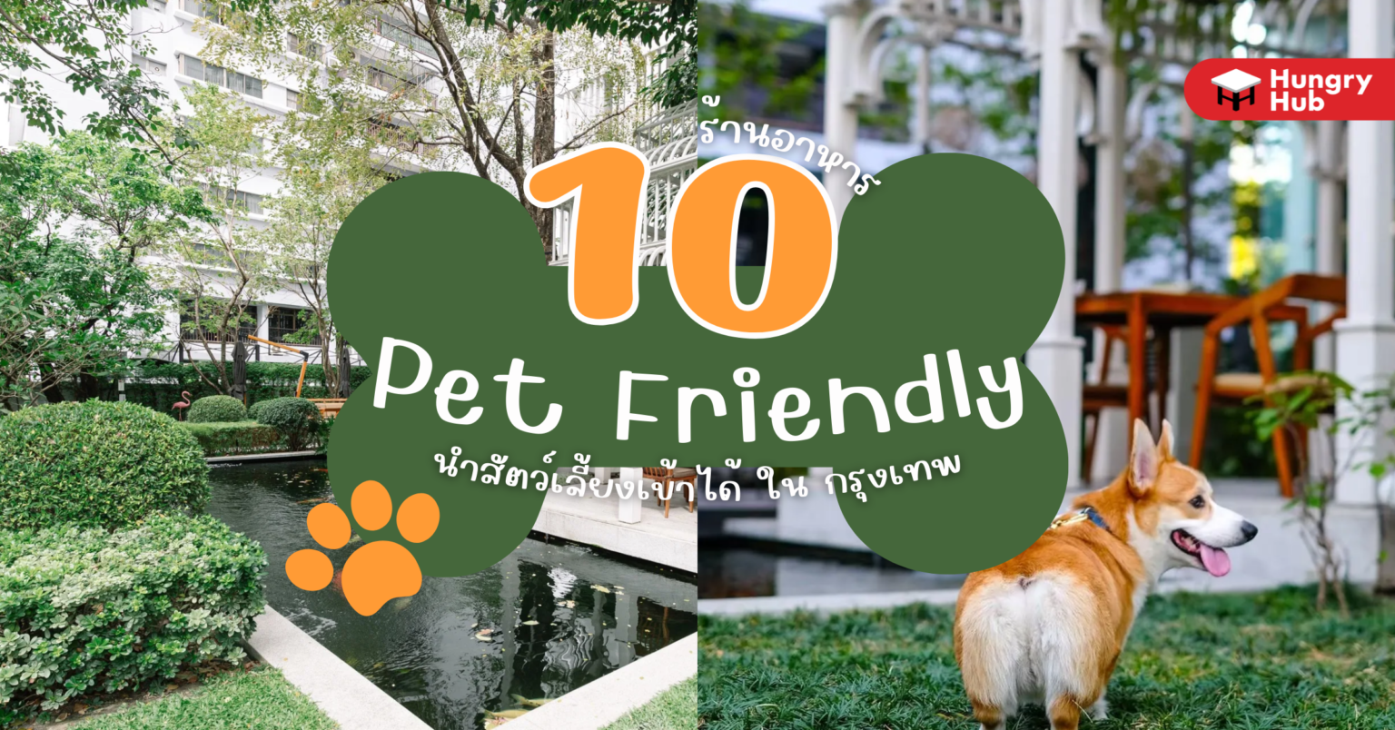 10 ร้านอาหาร Pet Friendly นำสัตว์เลี้ยงเข้าได้ ใน กรุงเทพ - Hungry Hub Blog