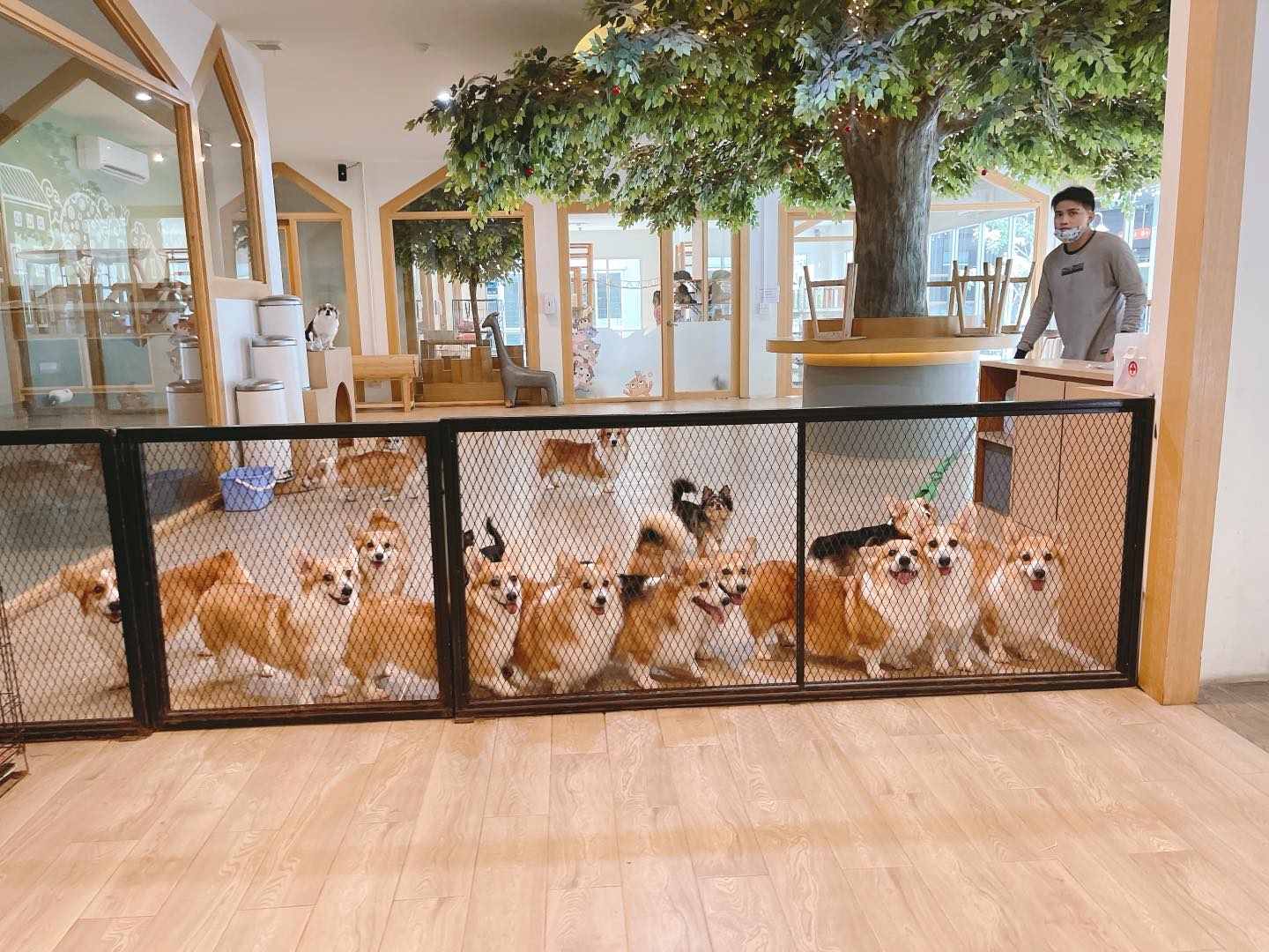 10 คาเฟ่เด็ก ต้อนรับ วันเด็ก 2566 พาลูกไปสนุก สุขฟินทั้งครอบครัว