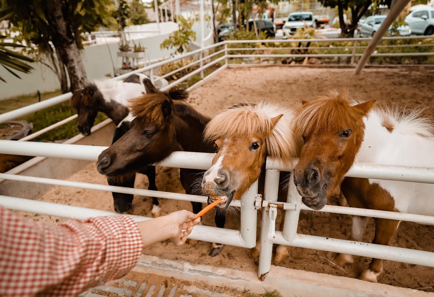 10 คาเฟ่เด็ก ต้อนรับ วันเด็ก 2566 พาลูกไปสนุก สุขฟินทั้งครอบครัว